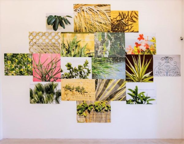 Richard Long - Madre Napoli